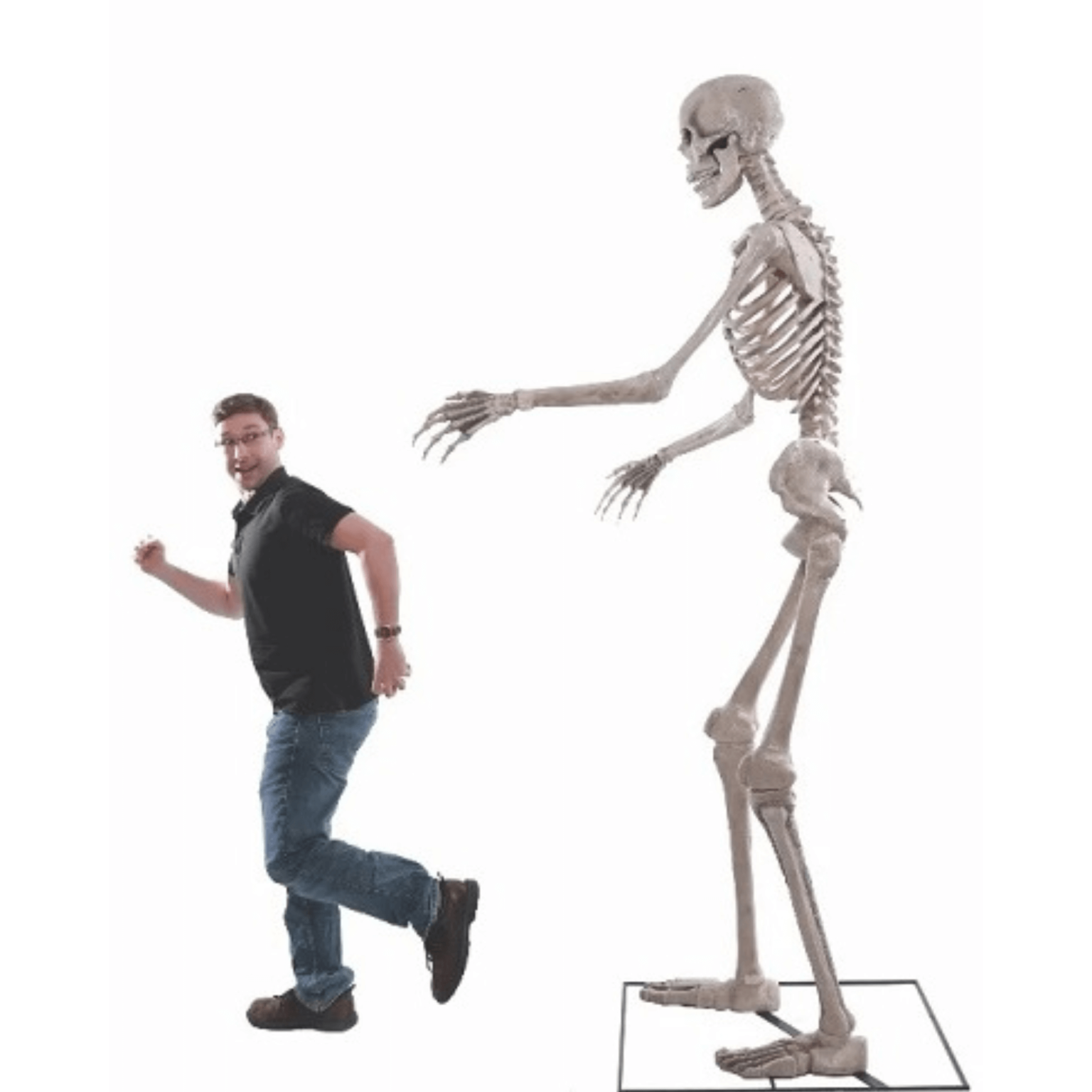 8ft Skeleton Animated Prop - Horror Shop FX