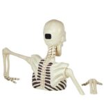 5ft Ground Breaker Skeleton - Horror Shop FX