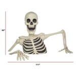 5ft Ground Breaker Skeleton - Horror Shop FX
